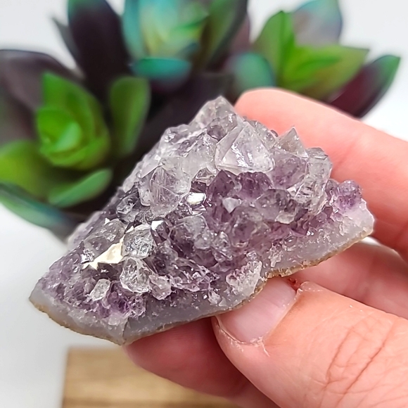 Accents | Natural Indian Purple Amethyst Crystal Cluster Specimen ...